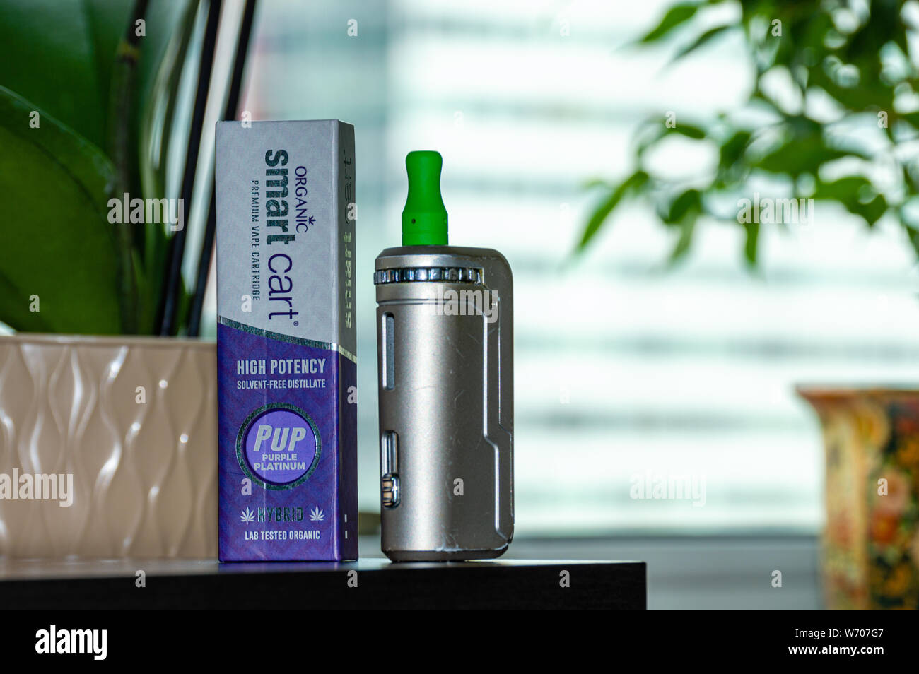 Purple Rechargeable Hookah Pen