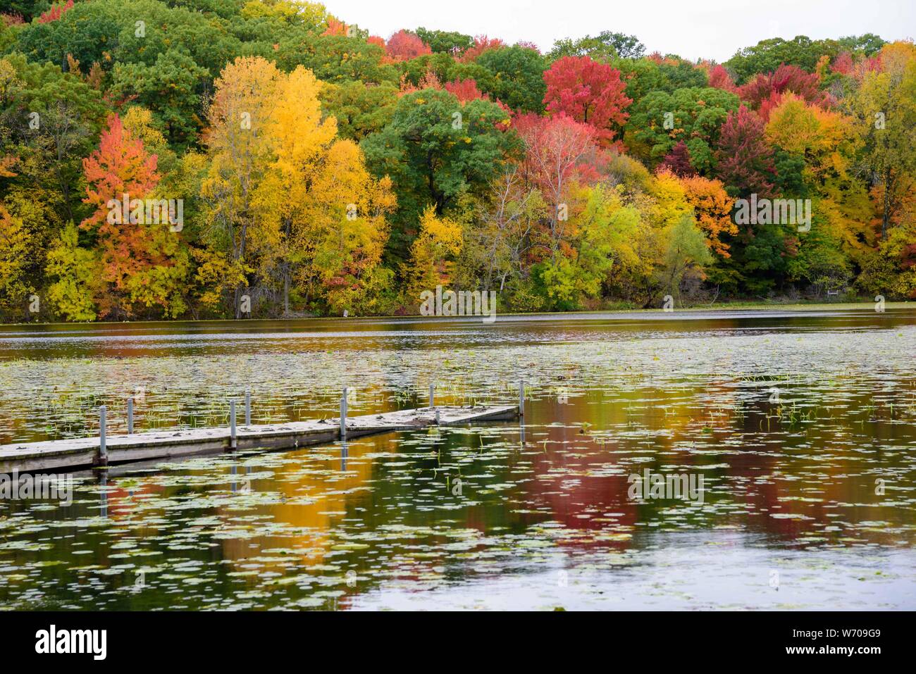 Minnetonka gardens hi-res stock photography and images - Alamy