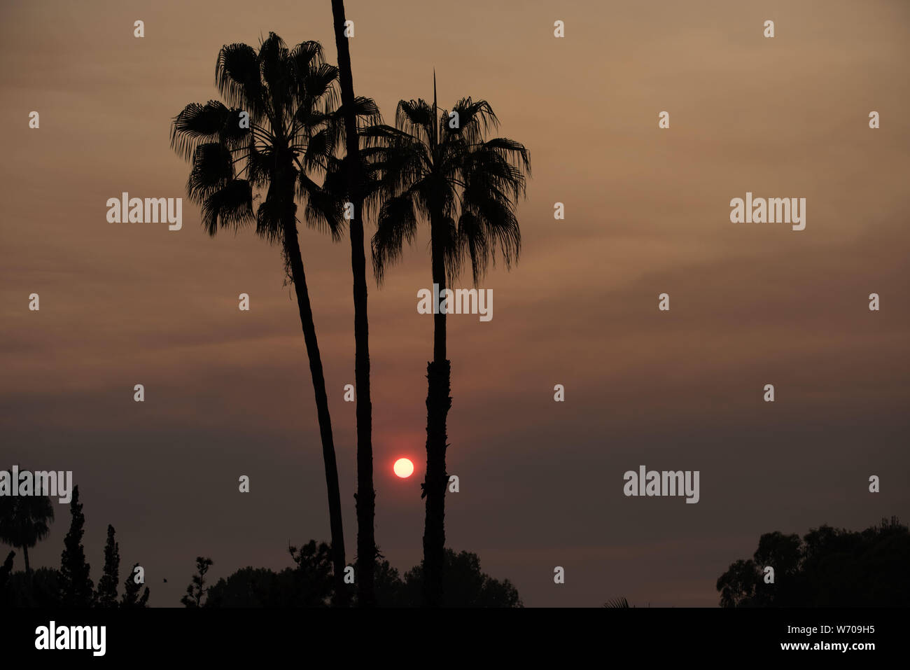 Burbank fire hi-res stock photography and images - Alamy