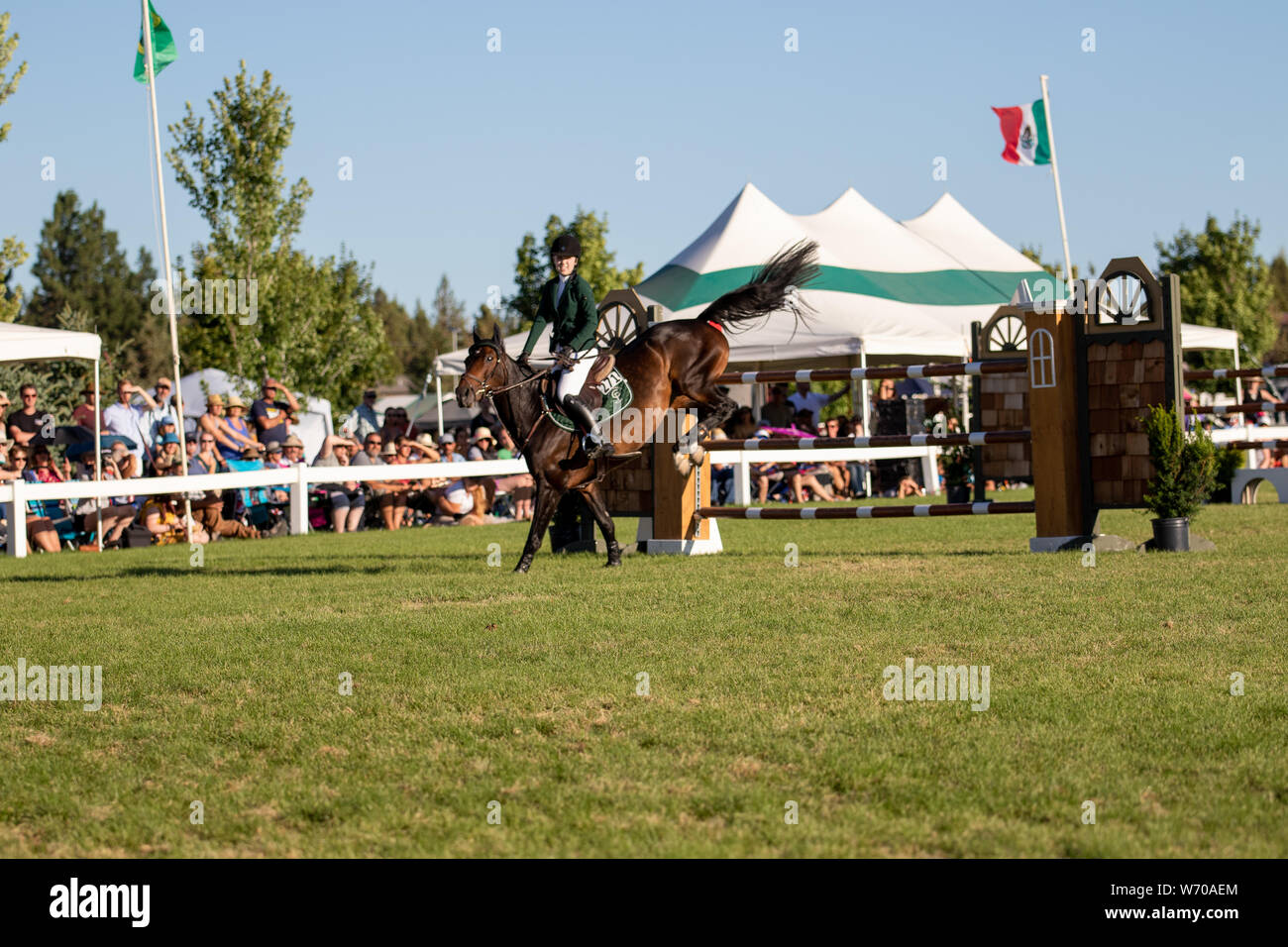 Classic english riding hi-res stock photography and images - Alamy