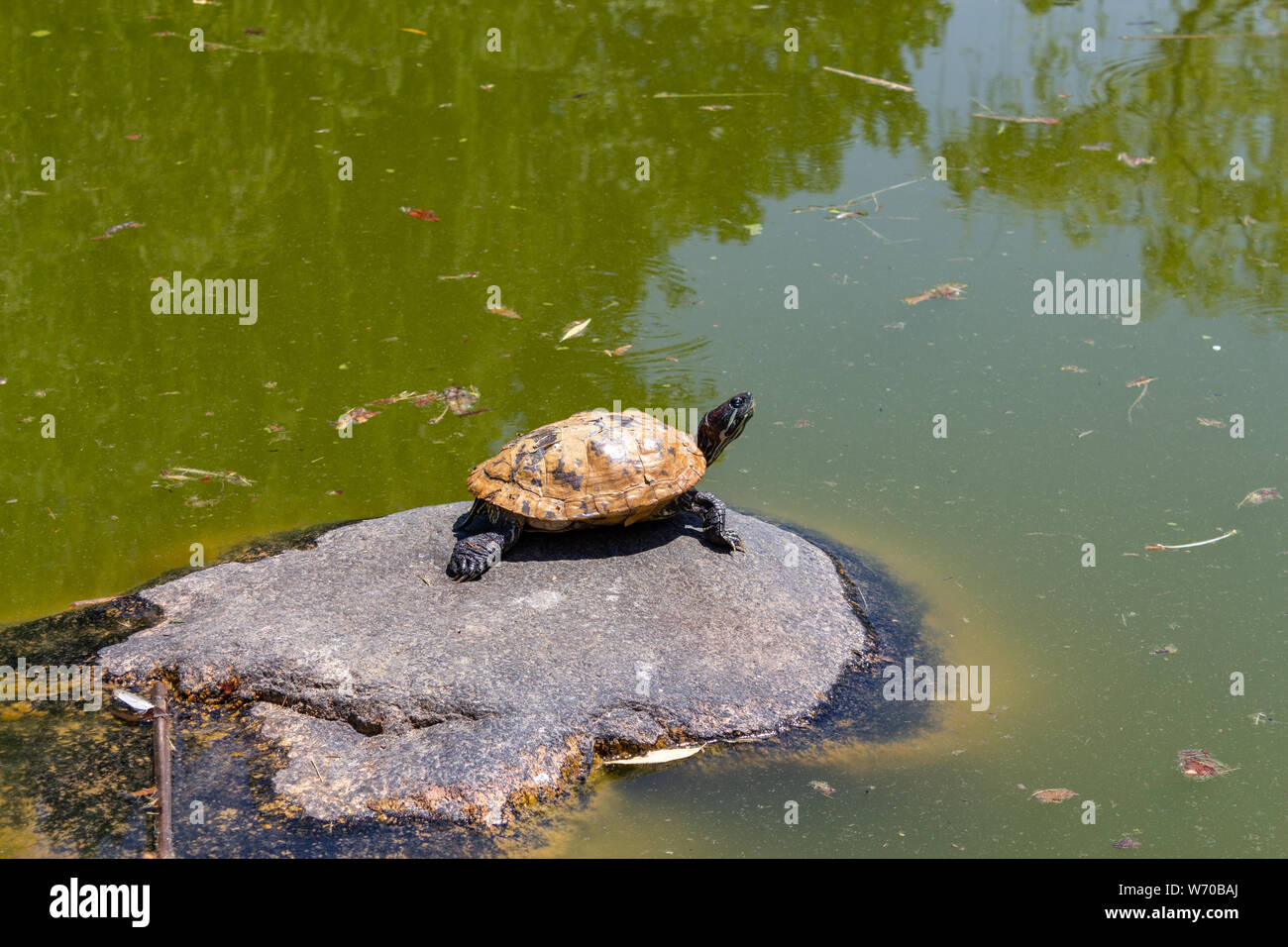 Outdoor rock lake hi-res stock photography and images - Alamy