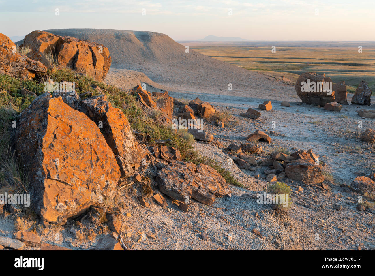 Spherical sandstone concretions hi-res stock photography and images - Alamy