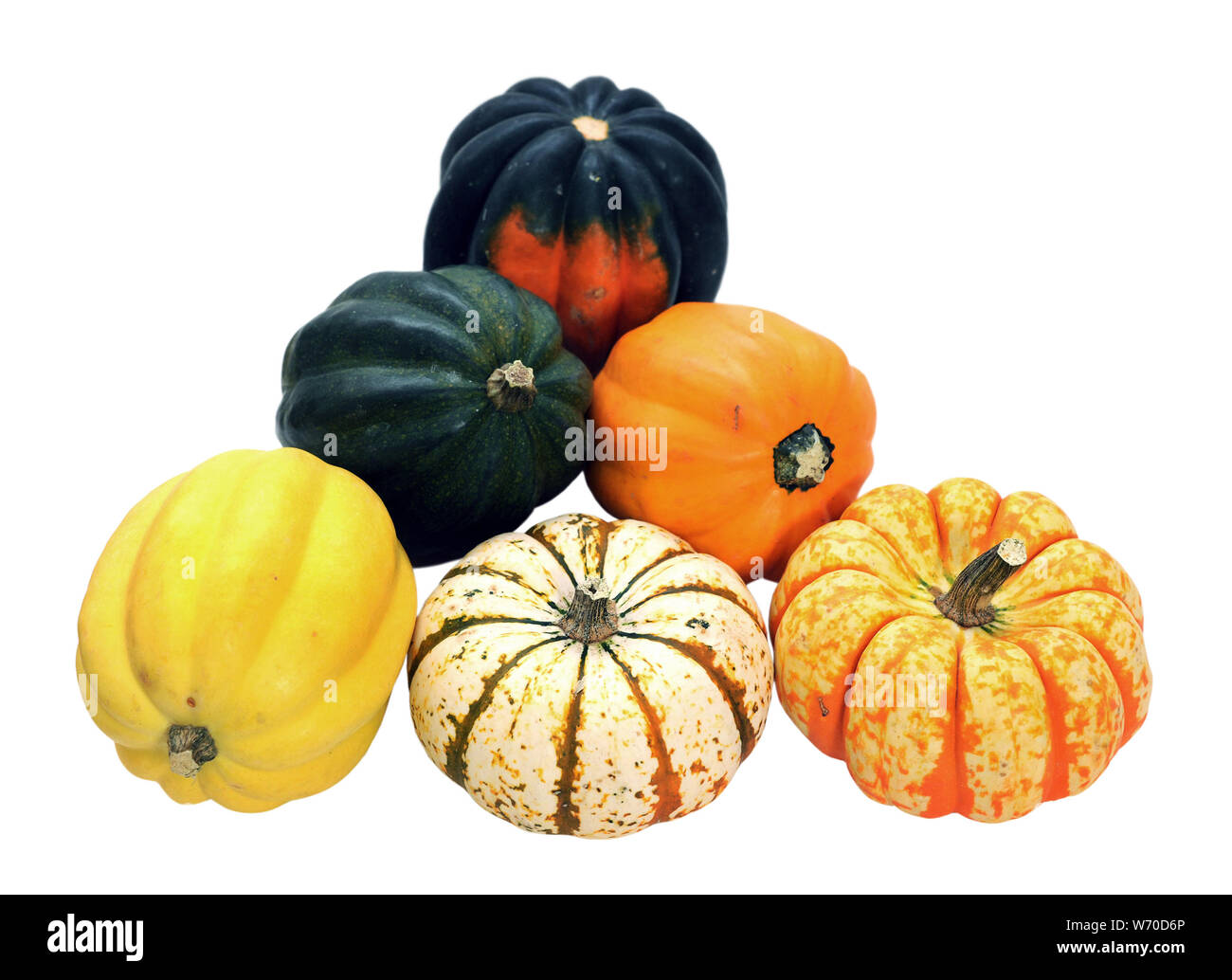 Green acorn squash Cut Out Stock Images & Pictures - Alamy