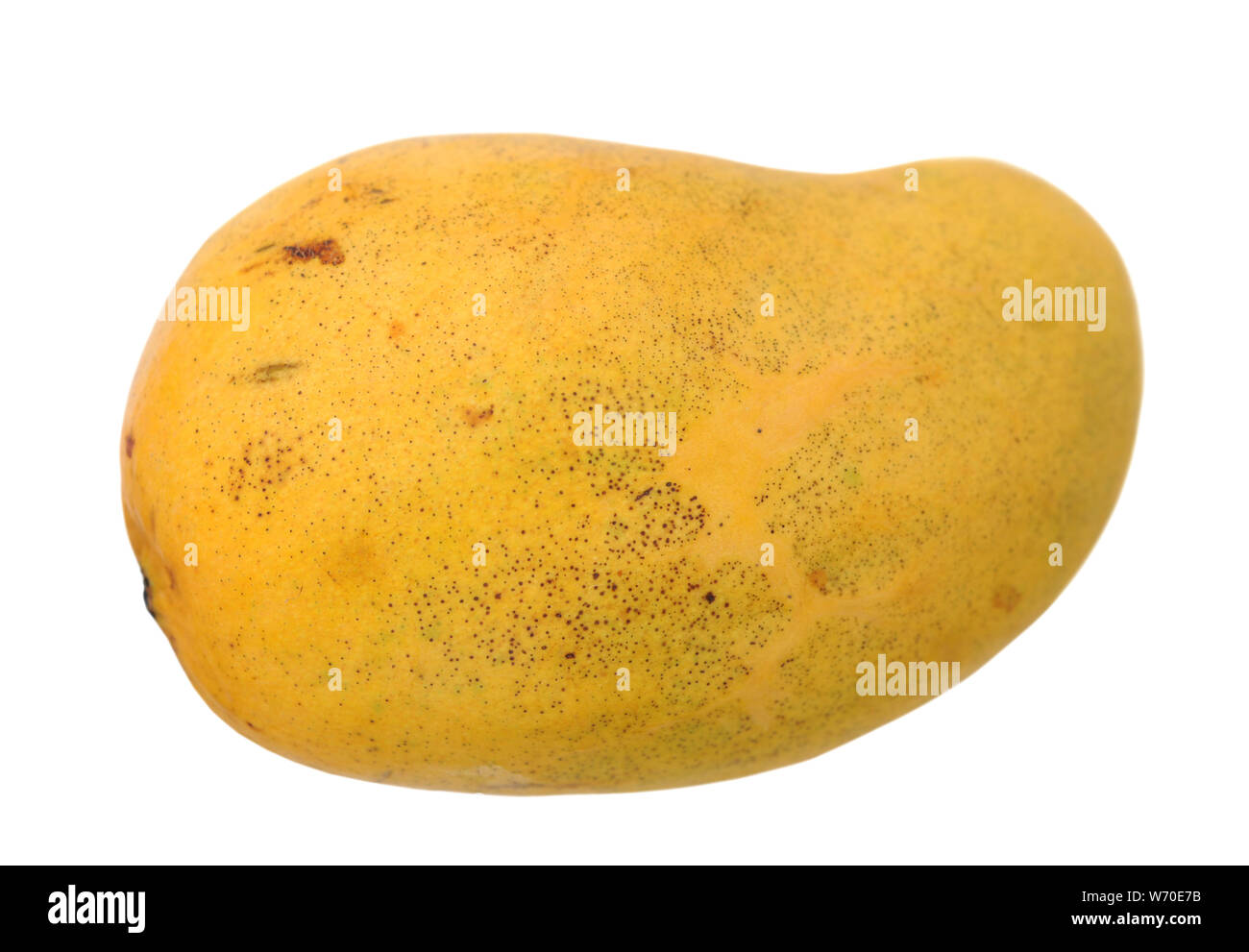 a single mango isolated on white background Stock Photo - Alamy