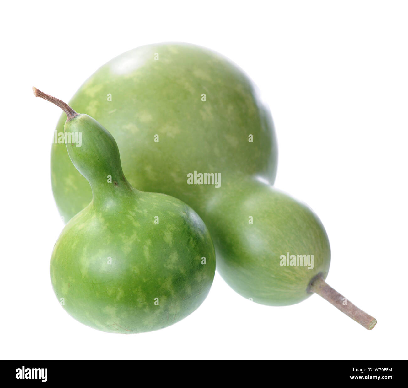 big and tiny bottle squashes isolated on white Stock Photo - Alamy