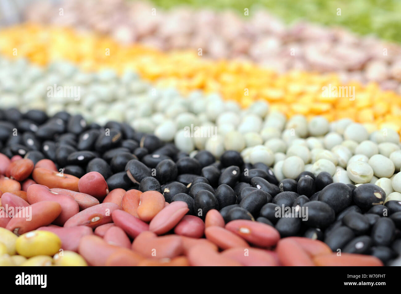 Pinto bean pod hi-res stock photography and images - Alamy