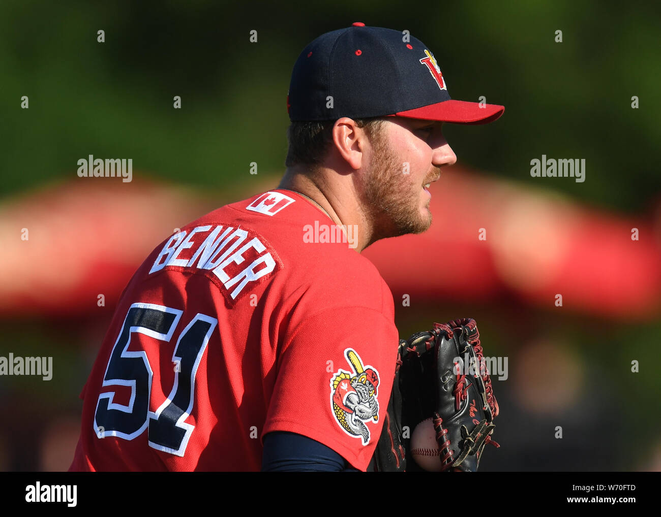 Goldeyes hi-res stock photography and images - Alamy