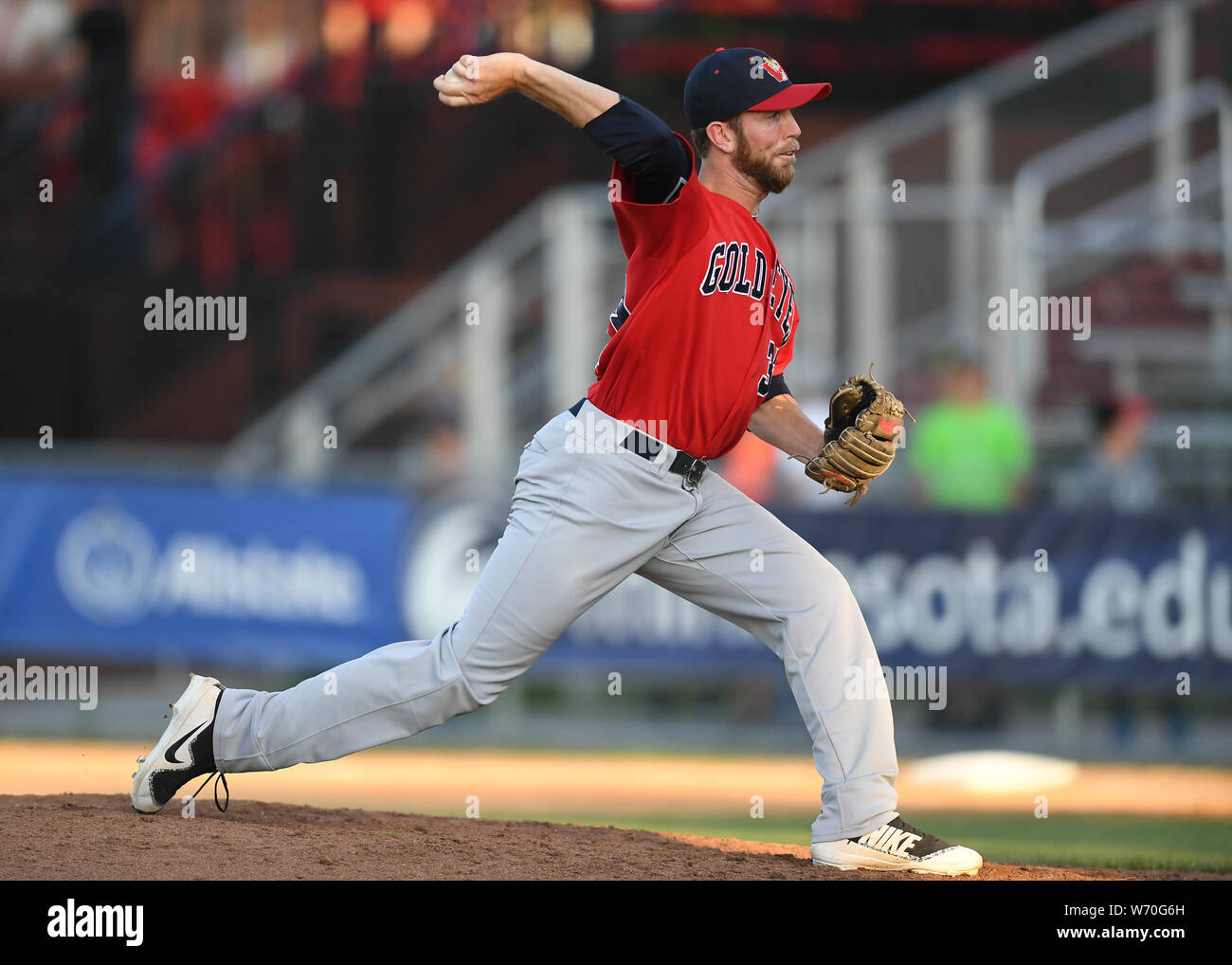Goldeyes hi-res stock photography and images - Alamy