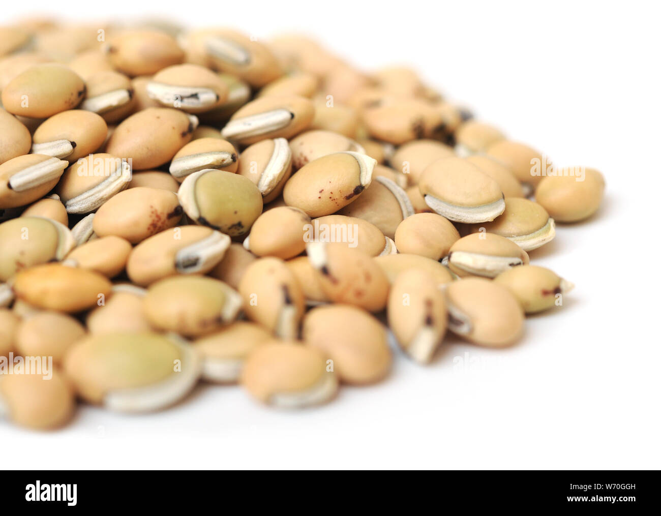Lablab bean plant hi-res stock photography and images - Alamy