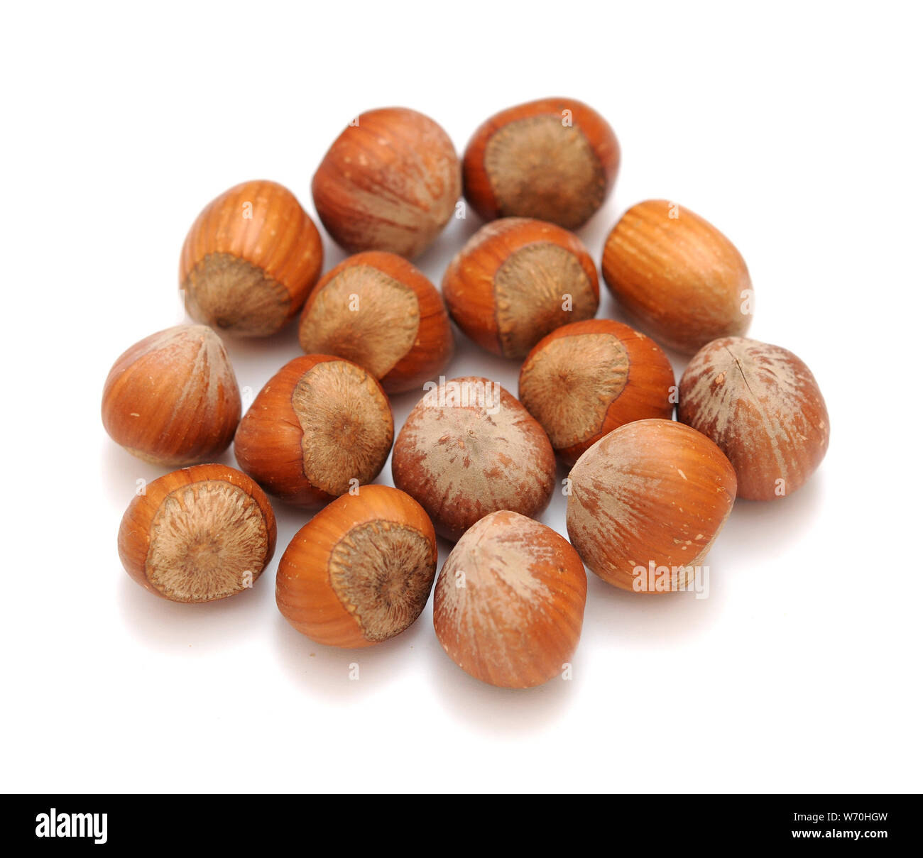a group of hazelnut on white background Stock Photo - Alamy
