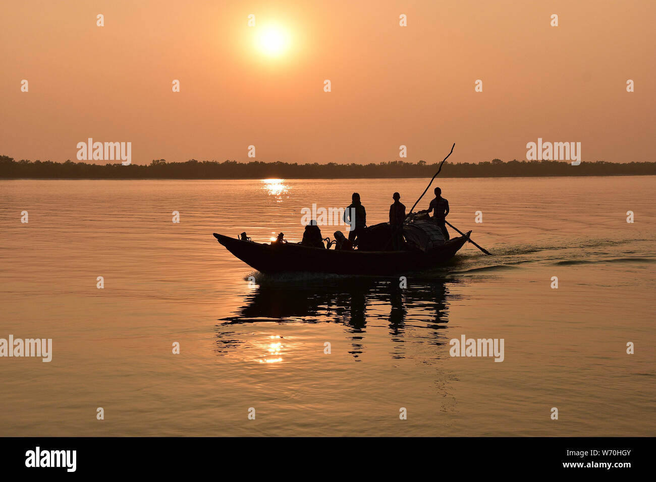 Sundarban mangrove forest hi-res stock photography and images - Alamy