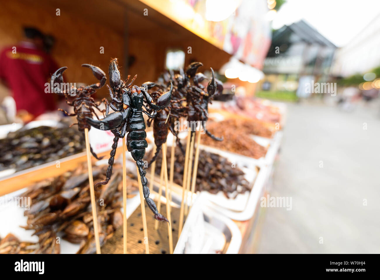 Deep fried Scorpion for eat Stock Photo - Alamy