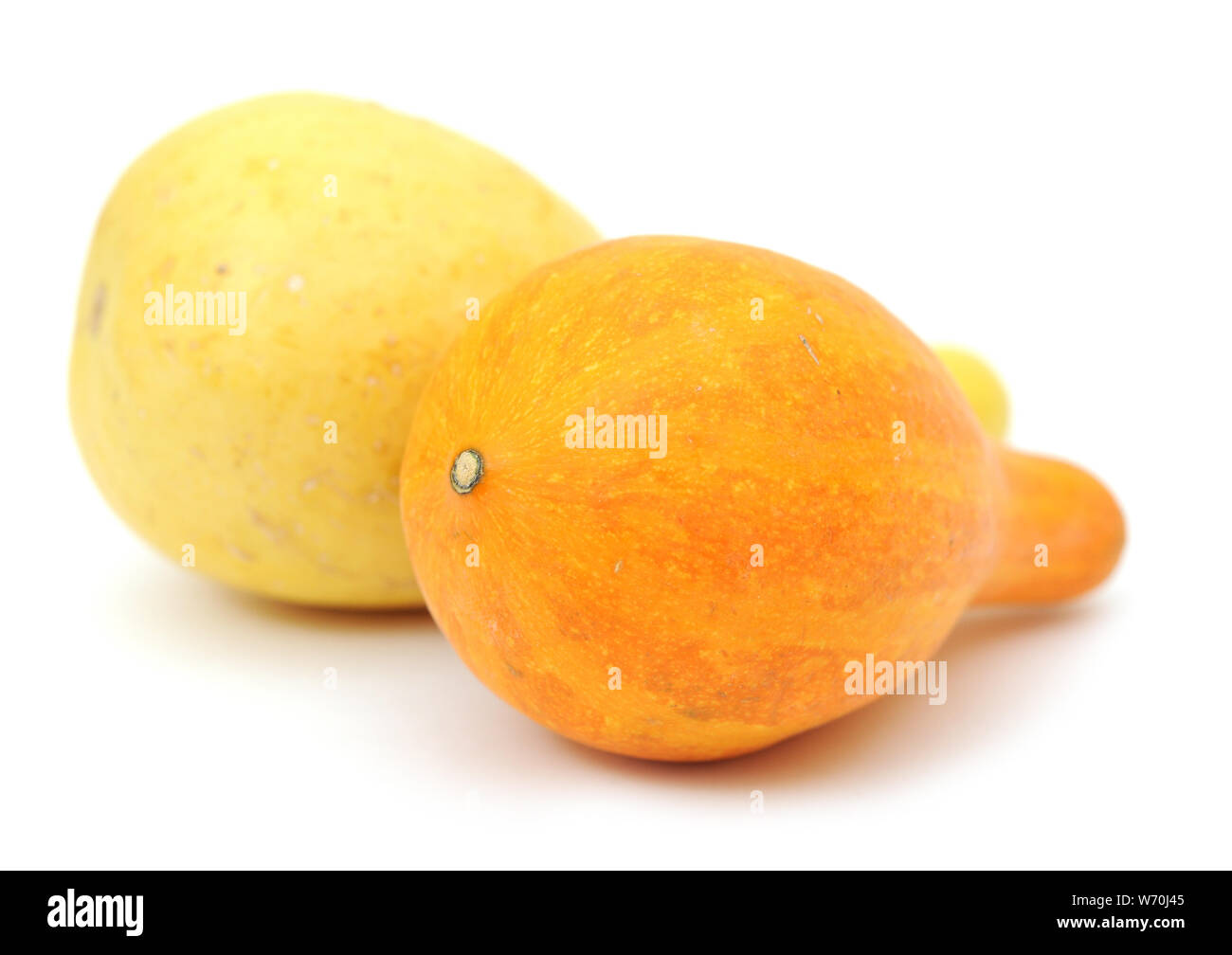 two yellow gourd on white background Stock Photo - Alamy