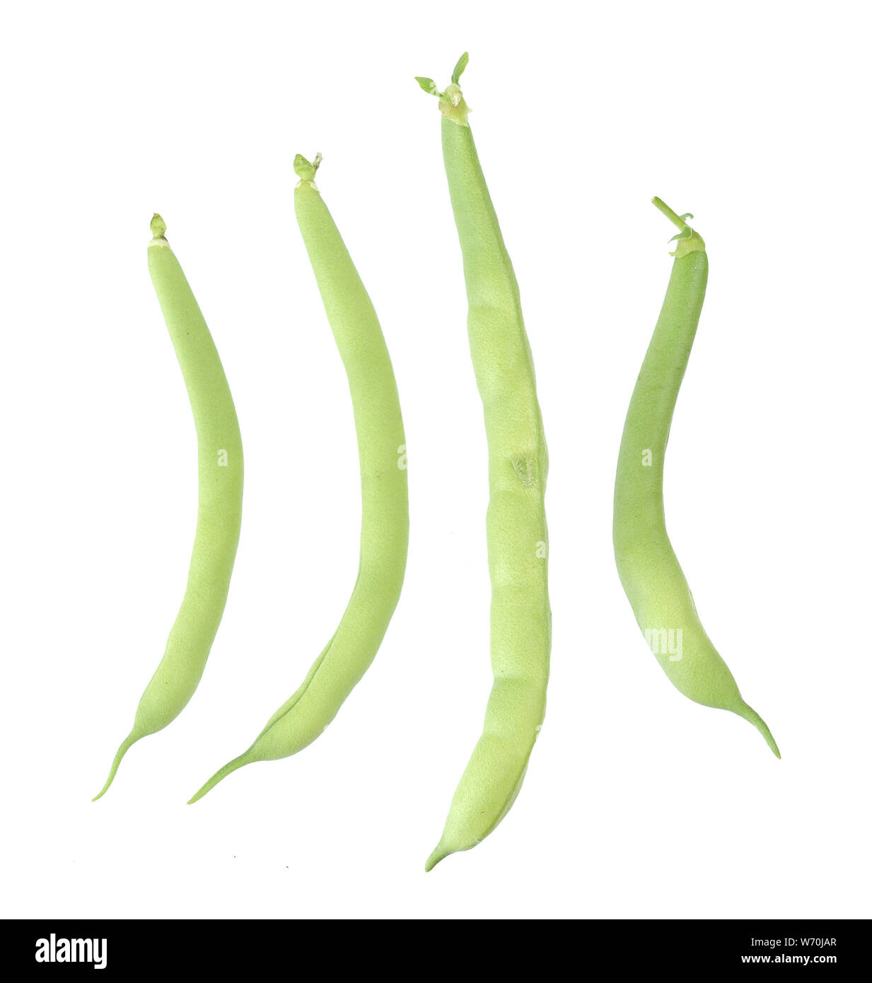 four green beans isolated on white Stock Photo - Alamy