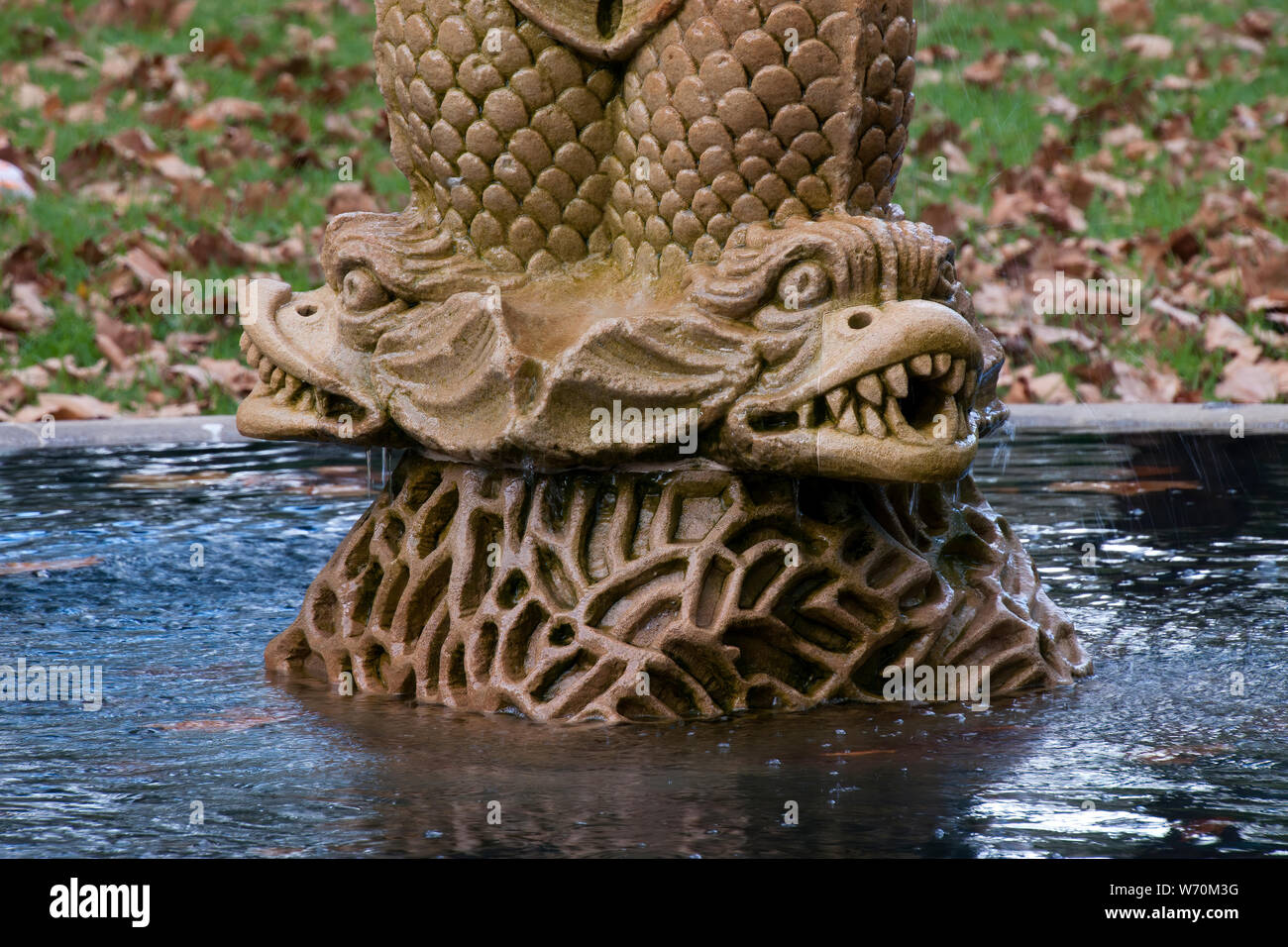 Sydney Australia, Close-up of carp at the base of John Baptist Fountain ...