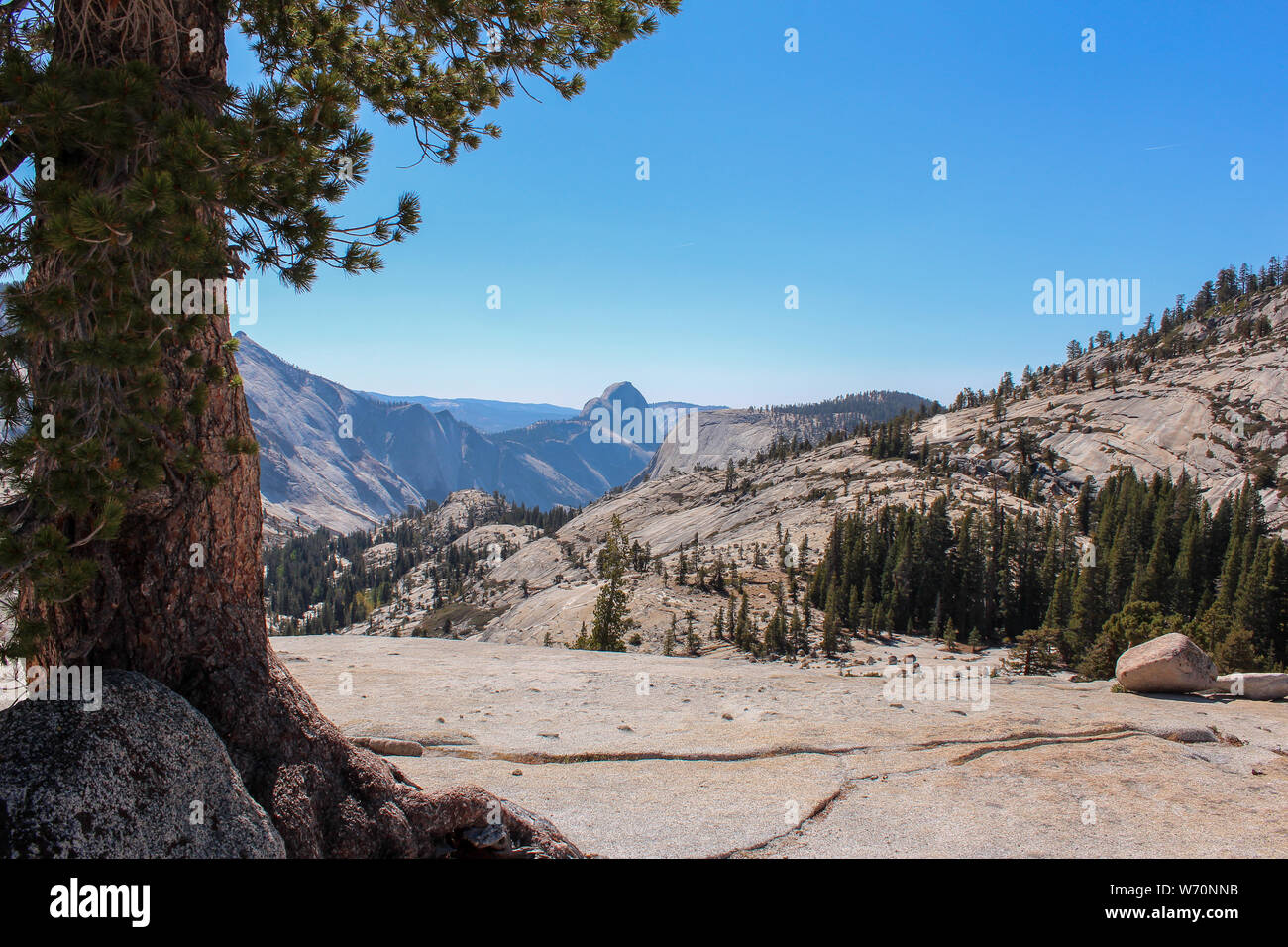 Olmsted Point along the Tioga Road, Yosemite National Park, offers a view into Tenaya Canyon ...