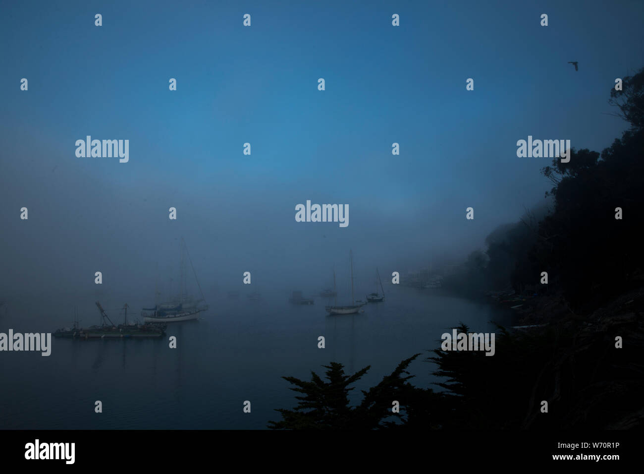 Mist weather boats hi-res stock photography and images - Alamy