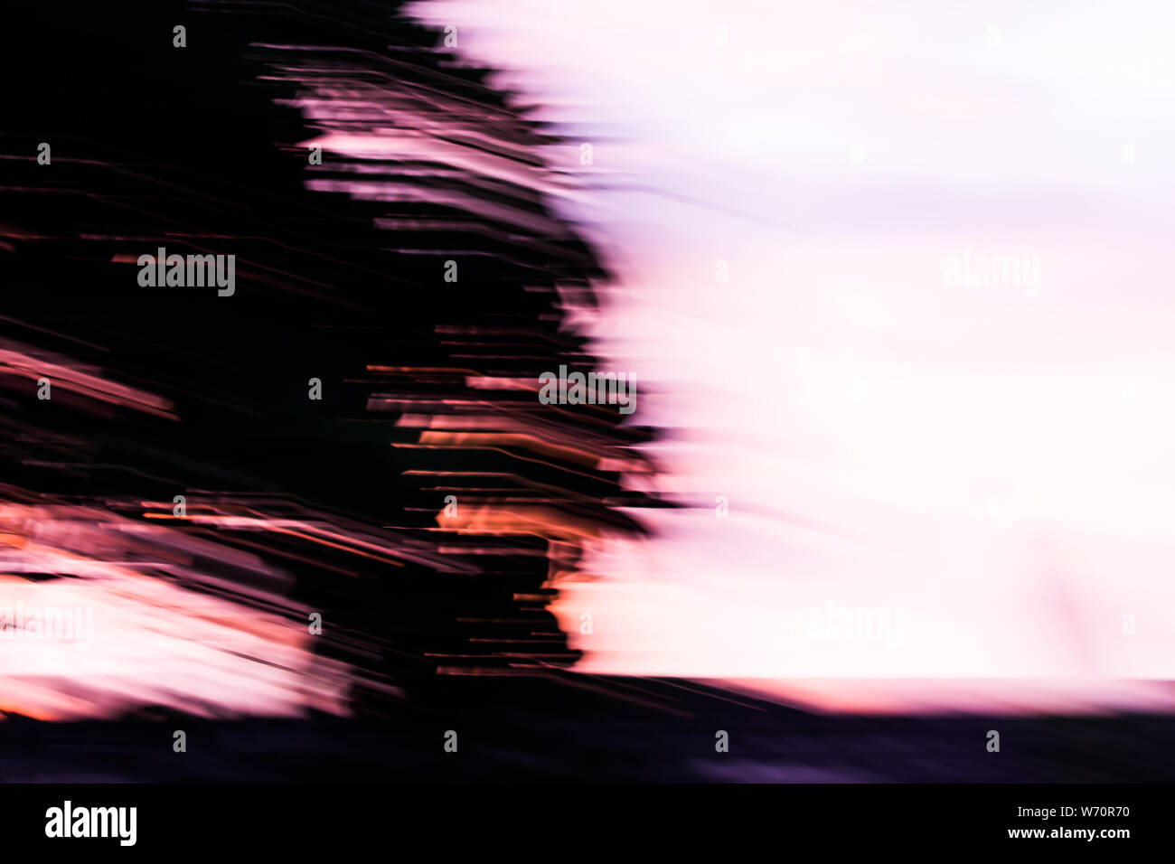 Blur photo shake camera sun and tree body Stock Photo - Alamy