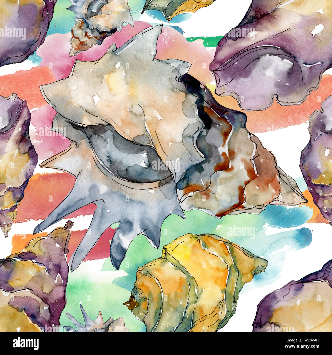 Summer beach seashell tropical elements. Watercolor illustration set ...