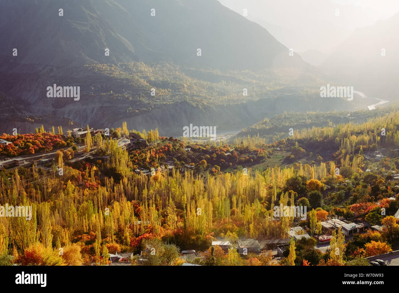 Hunza valley forest hi-res stock photography and images - Alamy