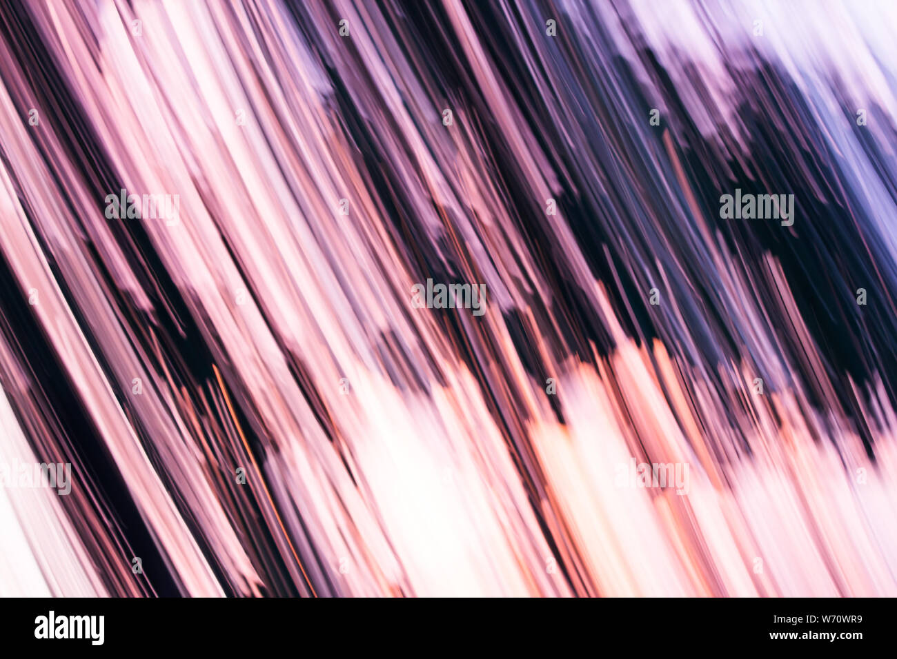 Blur photo shake camera sun and tree body Stock Photo - Alamy