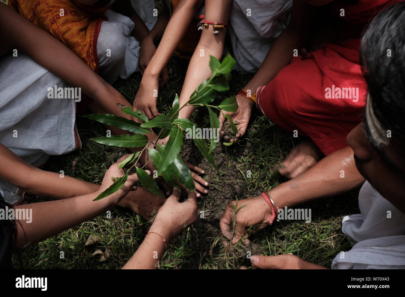 Tree planting india hi-res stock photography and images - Alamy