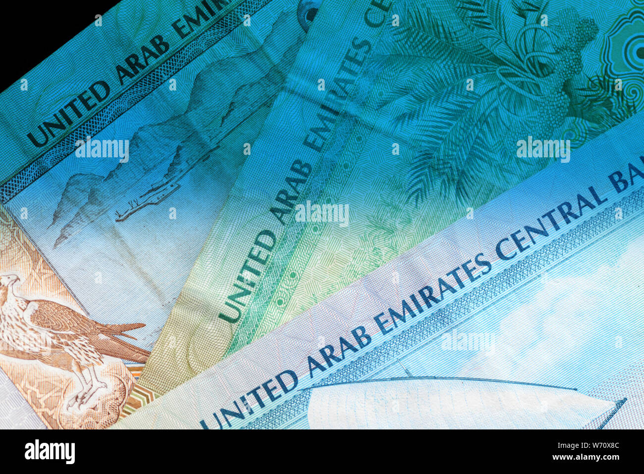 UAE dirham currency notes close up. Money background blue color toned ...