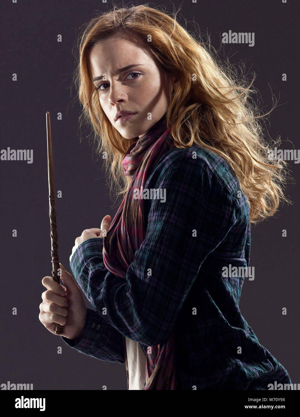 Emma Watson 2010 Brown