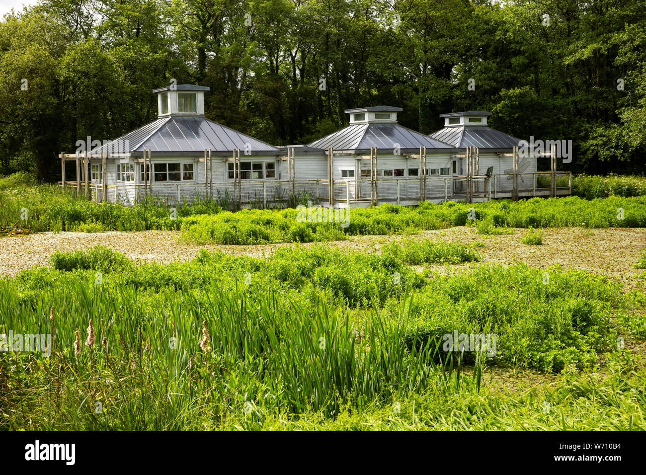 Aqualab hi-res stock photography and images - Alamy