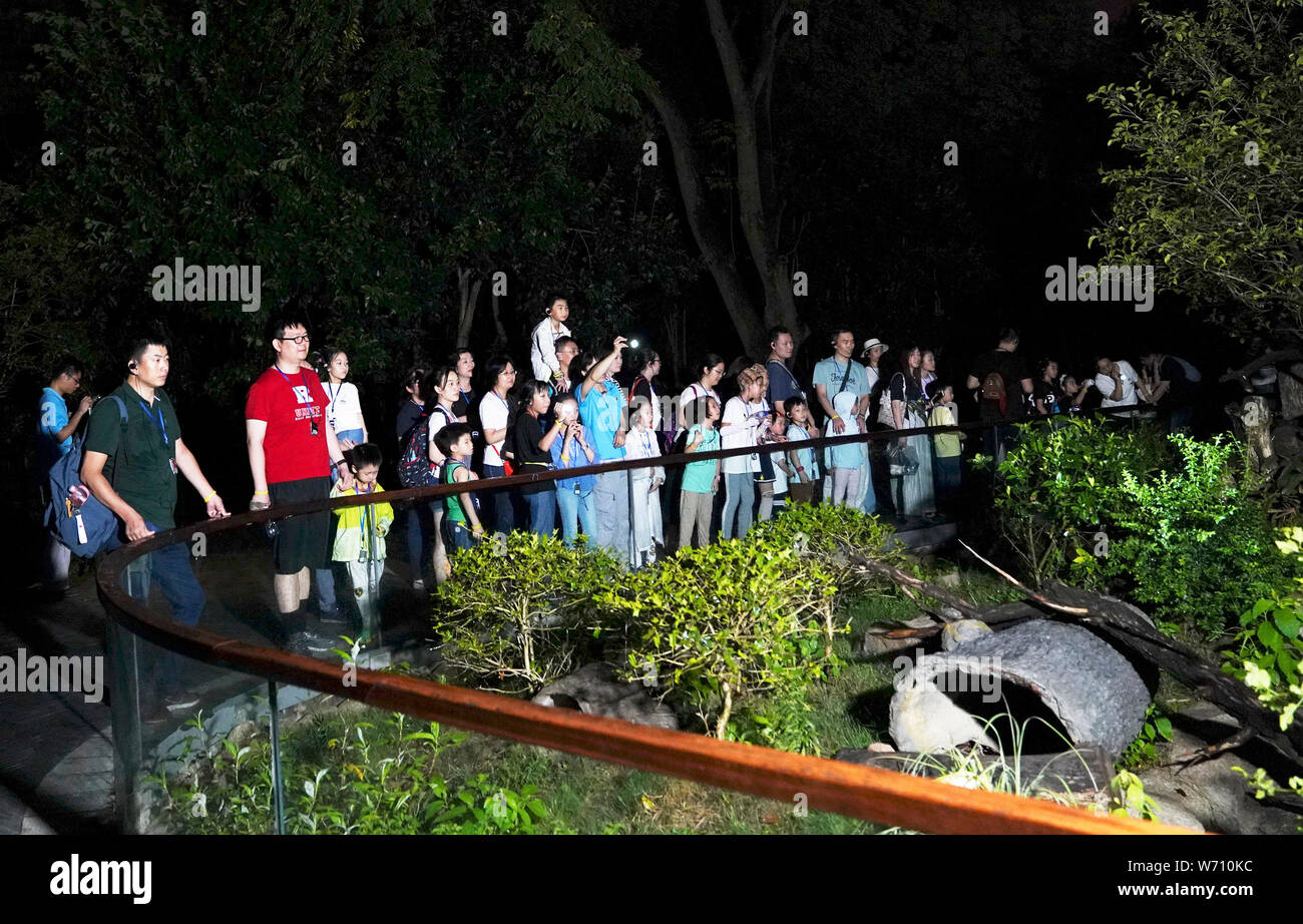 Nocturnal animals zoo night hi-res stock photography and images - Alamy