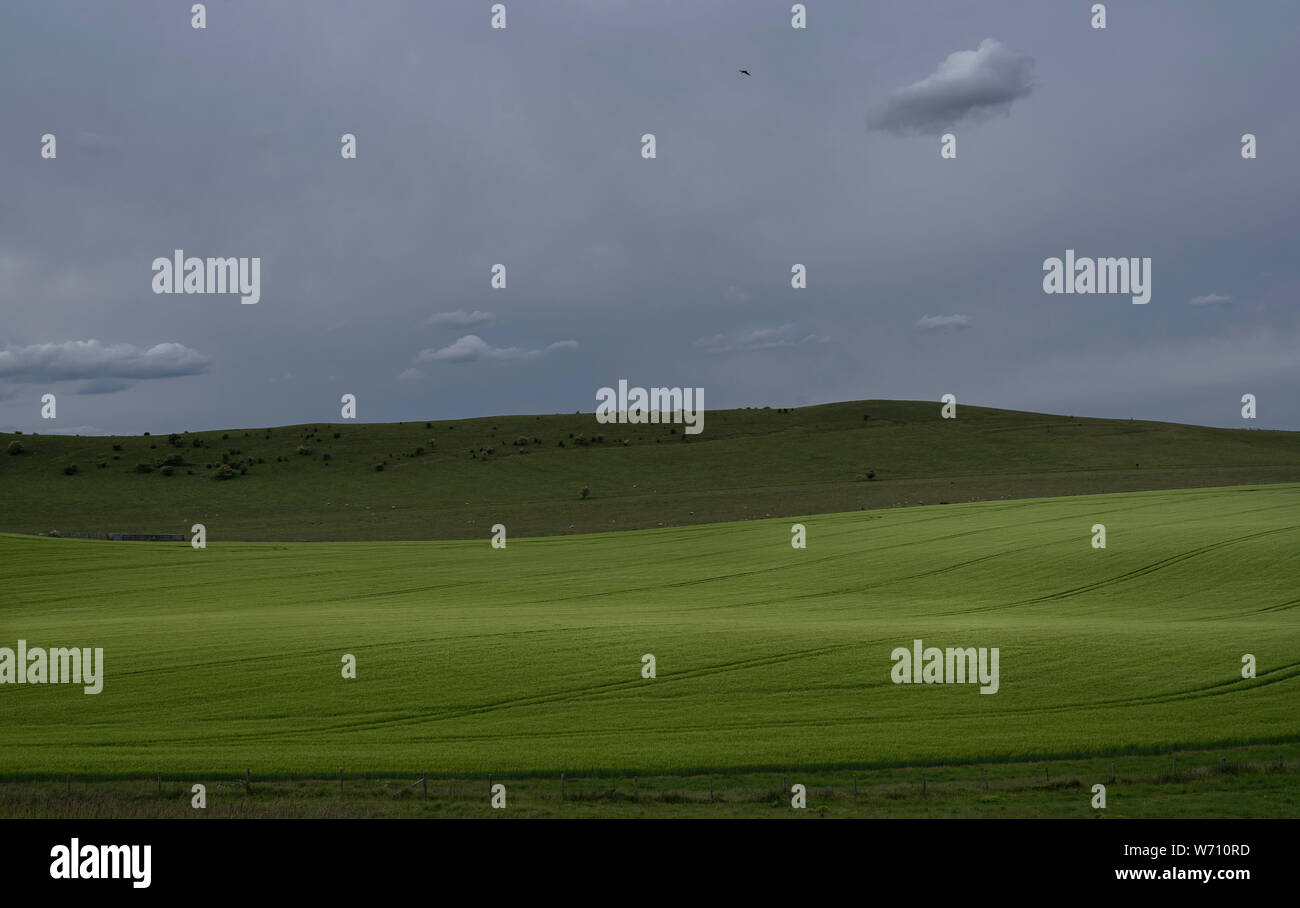 Green rolling fields Stock Photo - Alamy