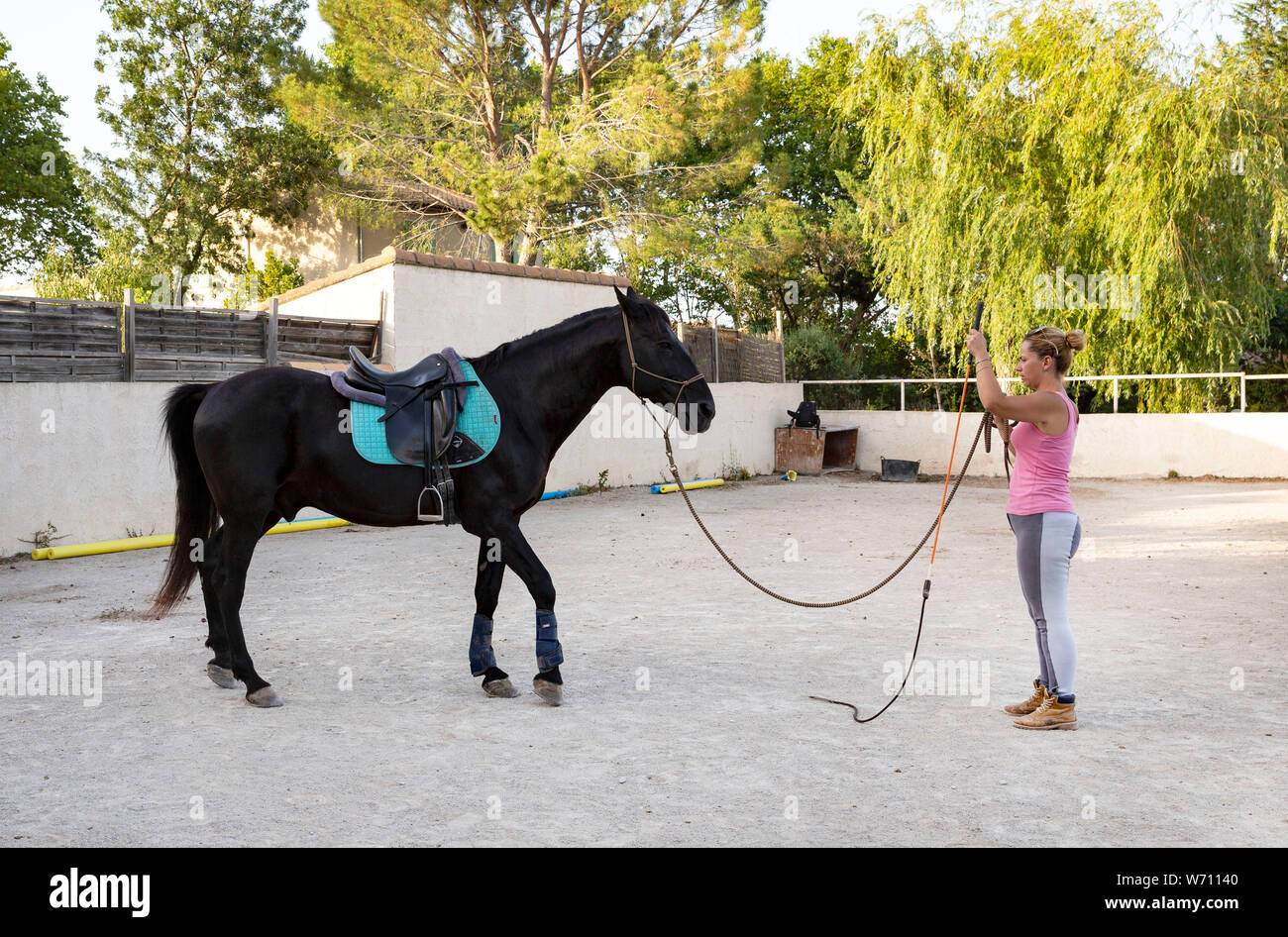 riding girl are training her black horse Stock Photo - Alamy