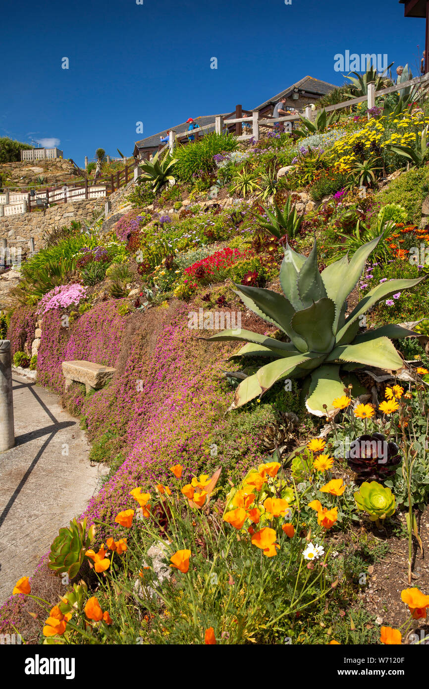 UK, England, Cornwall, Porthcurno, Minack Theatre, terraced garden ...