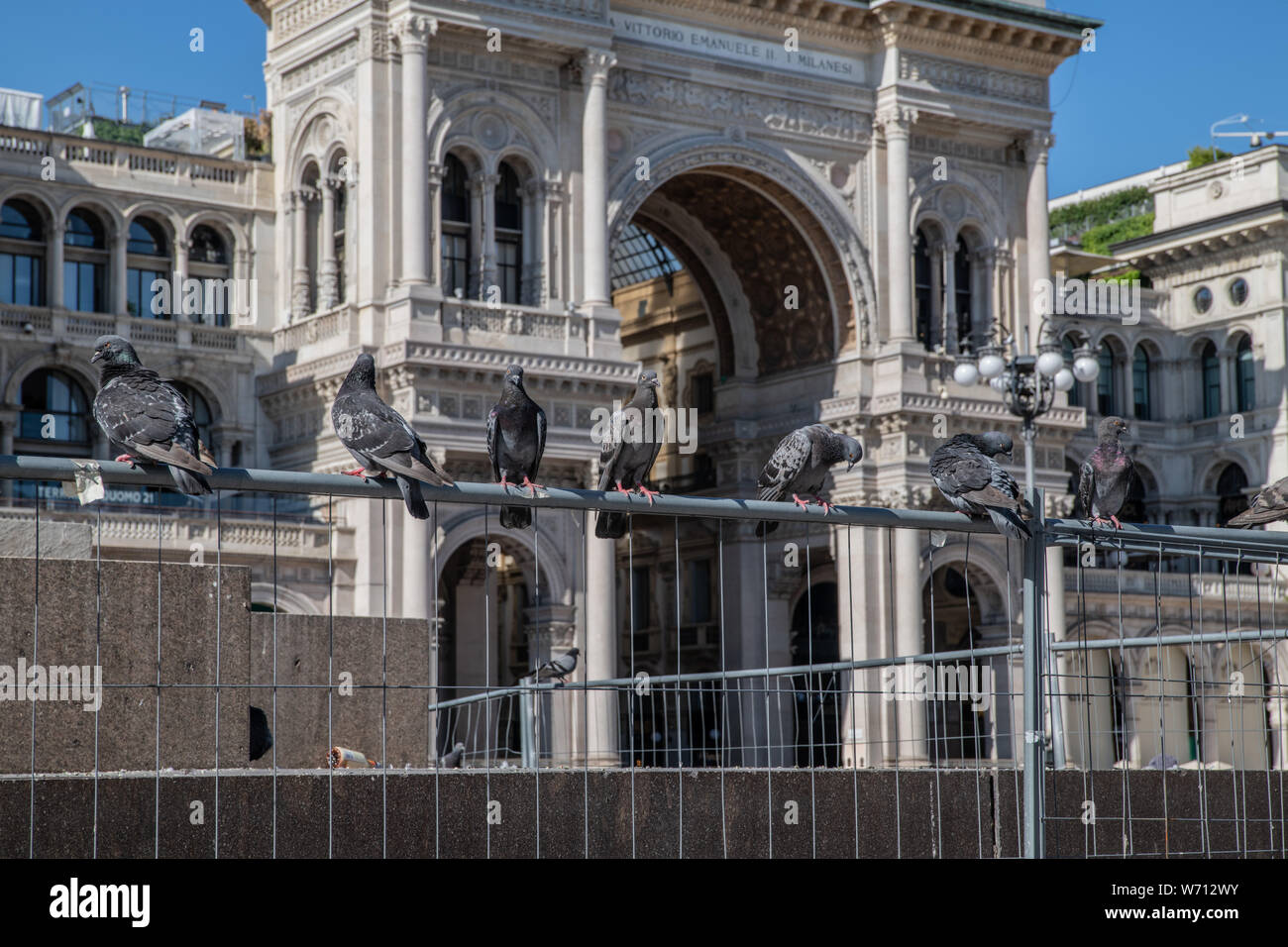 Milan, Italy - 30 June 2019: View of Pigeons, Piazza Duomo Stock Photo ...