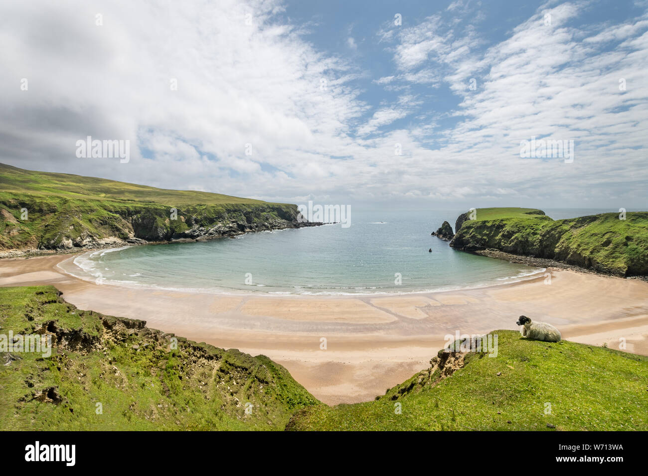 Silver strand beach sheep hi-res stock photography and images - Alamy