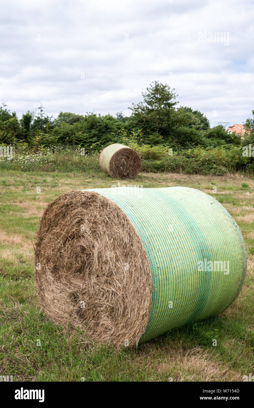 Round bale of weed harvested in a meadow. Agricultural landscape Stock ...