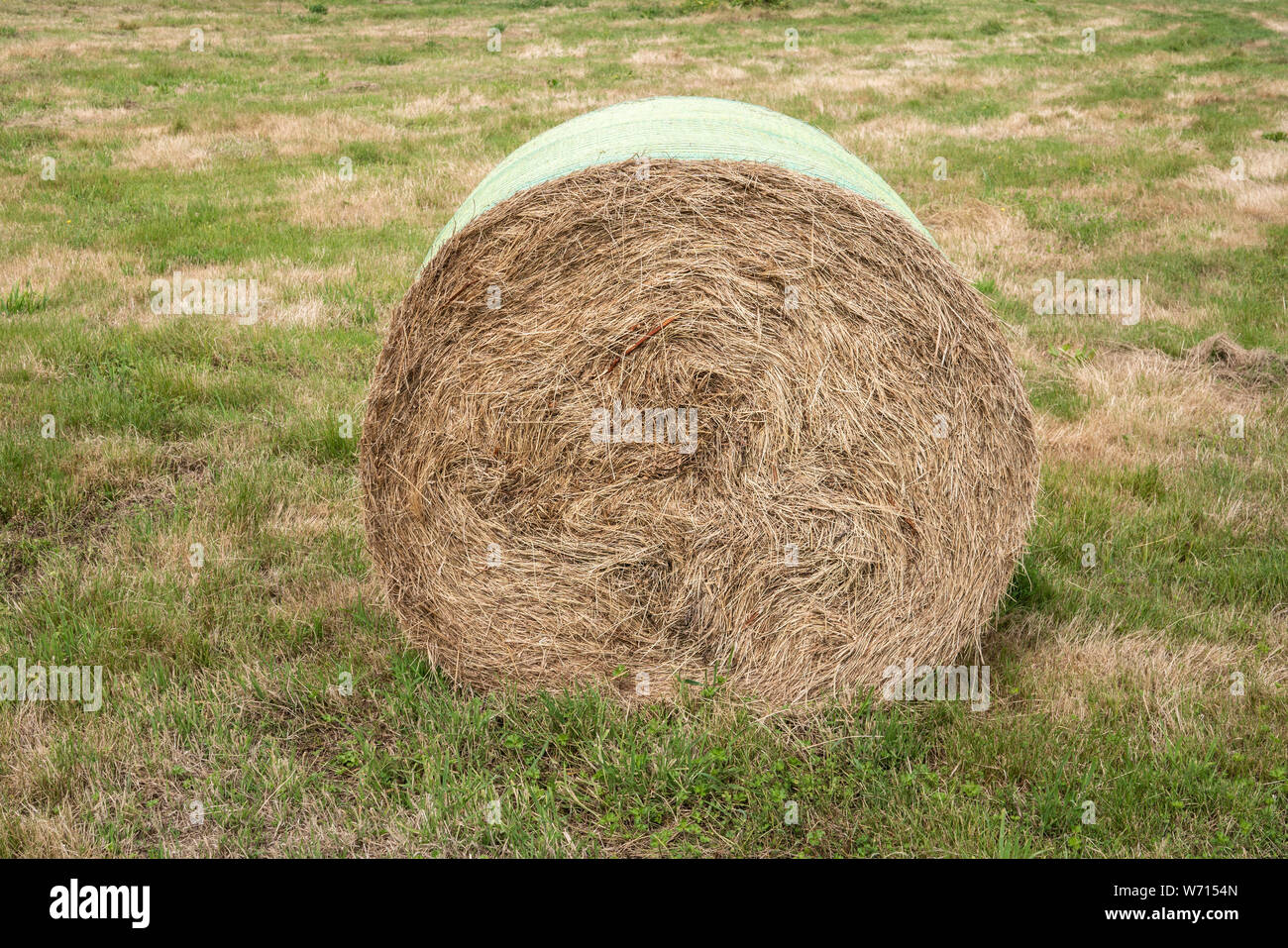 Weed in agriculture hi-res stock photography and images - Alamy