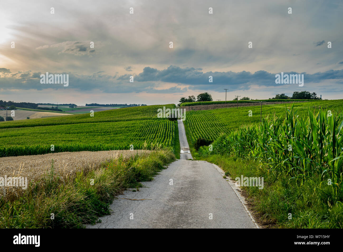 long path on bavarian field with cloudy sky Stock Photo - Alamy