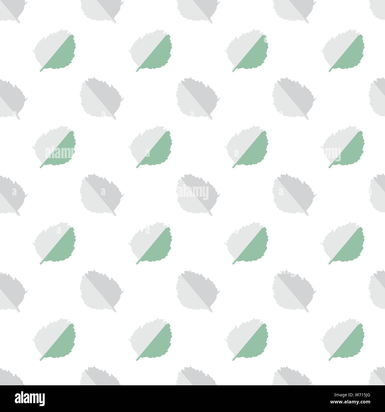 Grey green leaves Stock Vector Images - Alamy