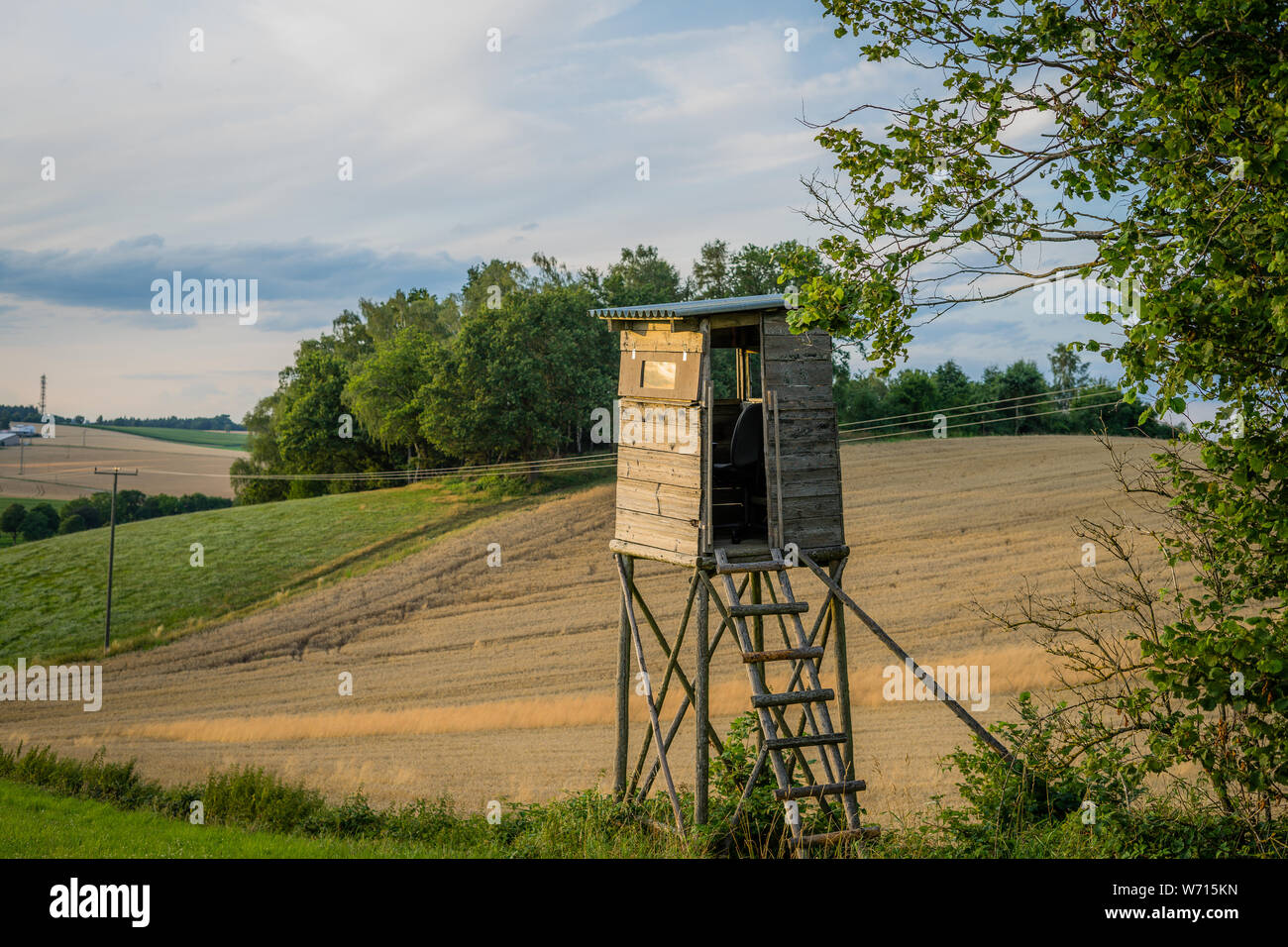 Hunter in tree stand high hi-res stock photography and images - Alamy