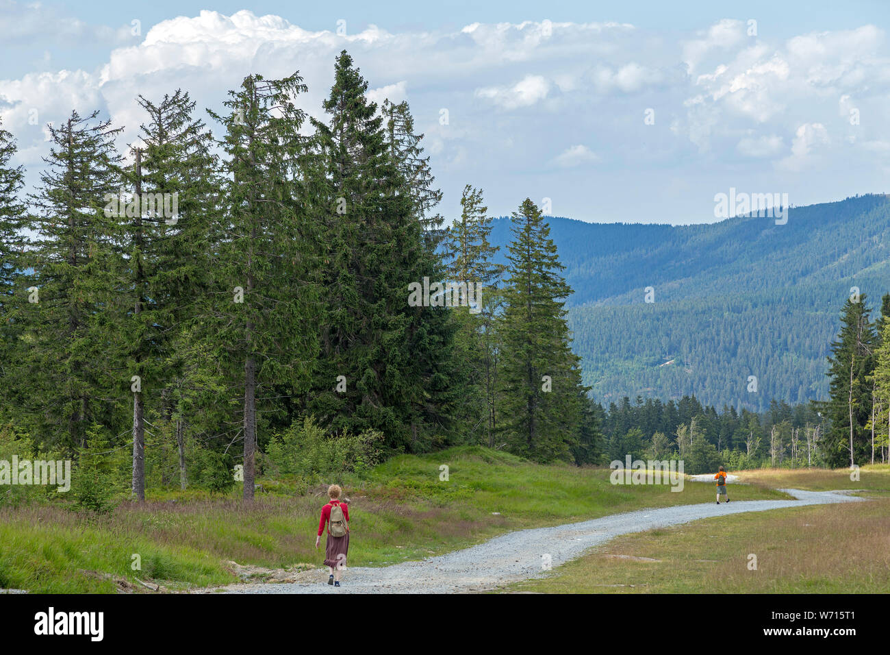 Woman walking down forest path hi-res stock photography and images - Alamy