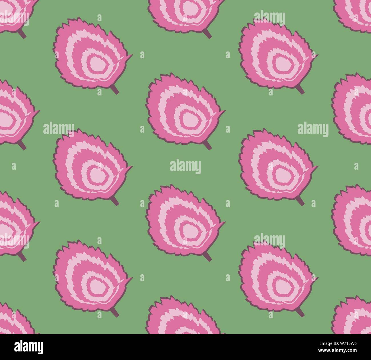 Vector seamless pattern with cabbage slices Stock Vector Image & Art ...