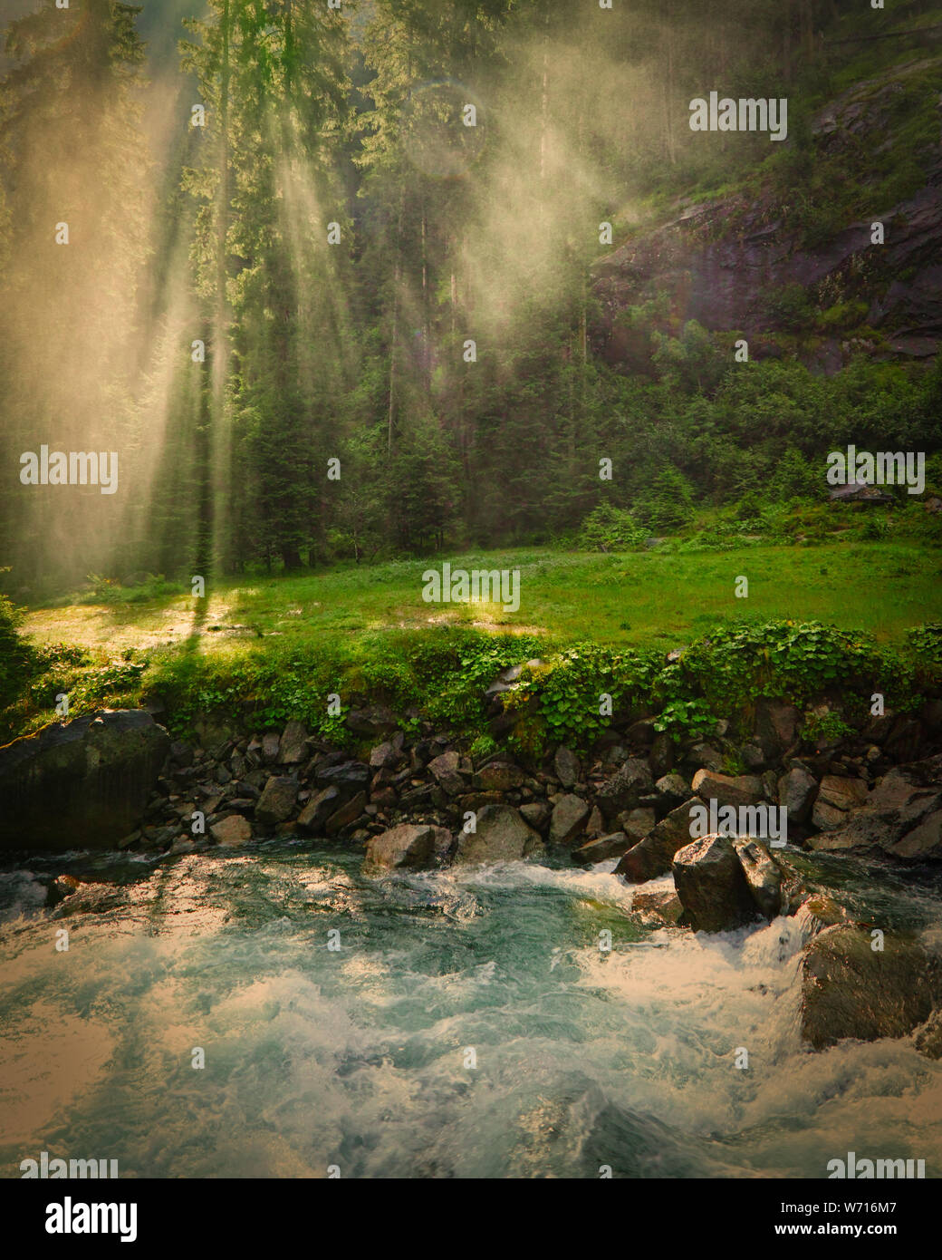 Fog and light rays in the forests of Krimml Stock Photo - Alamy