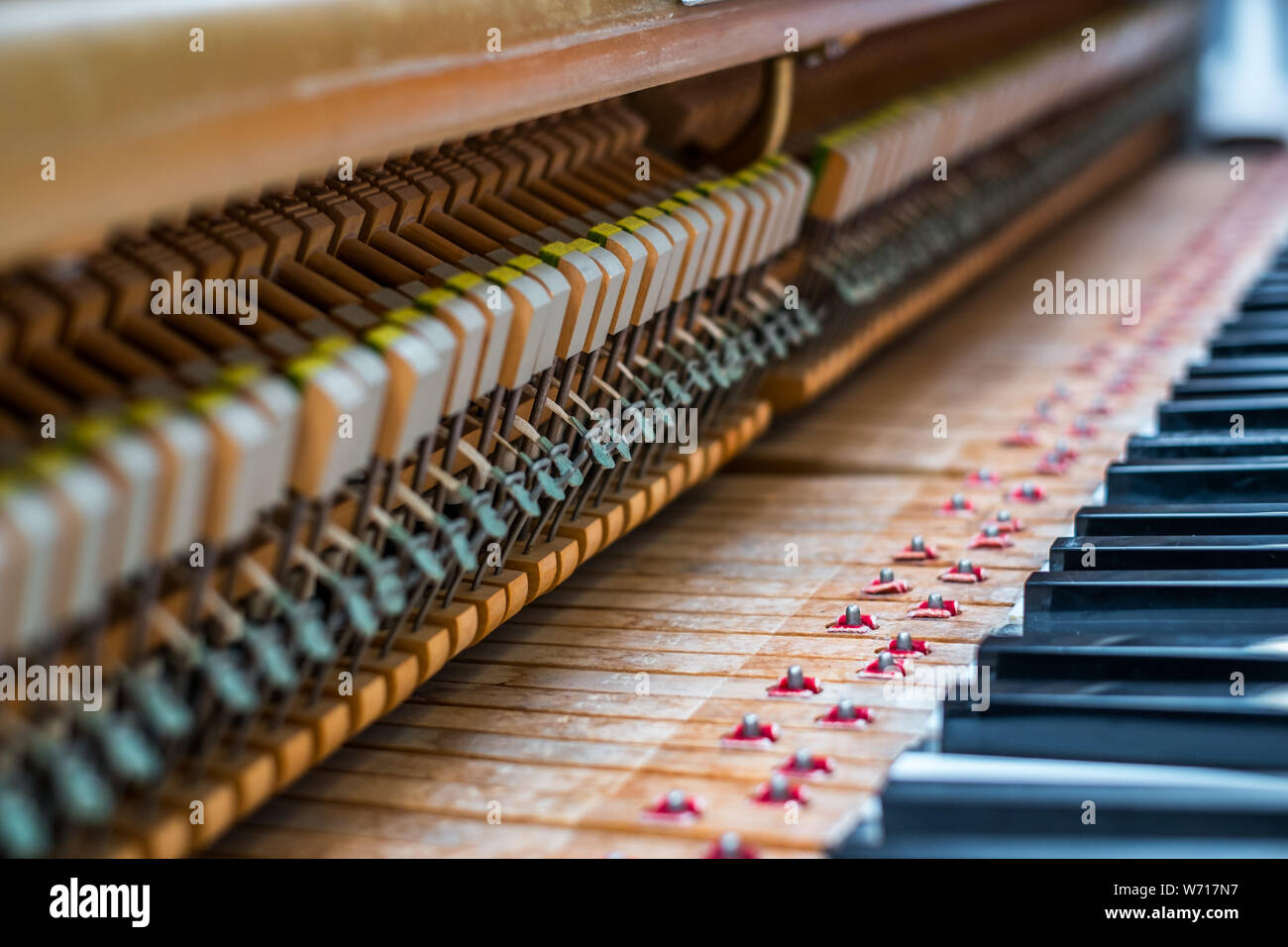 details inside of the piano with keyboards and piano-string Stock Photo ...