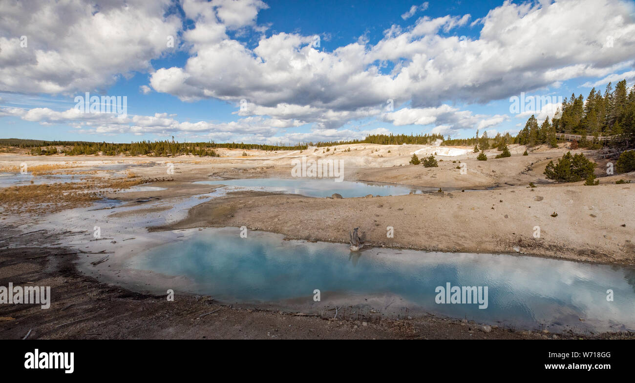 Norris Geyser Basin, Yellowstone National Park, Montana, USA Stock ...