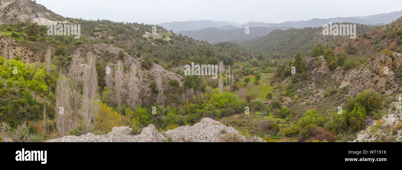 Paphos forest hi-res stock photography and images - Alamy