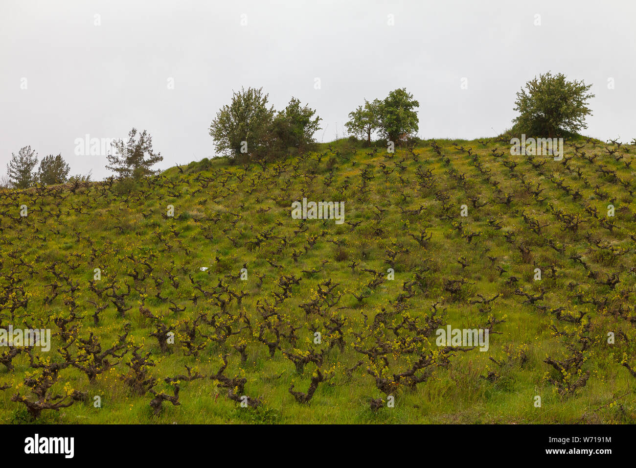 Fertile valley cyprus hi-res stock photography and images - Alamy