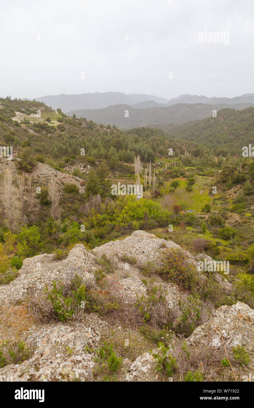 Paphos forest park aerial view. Cyprus Stock Photo - Alamy