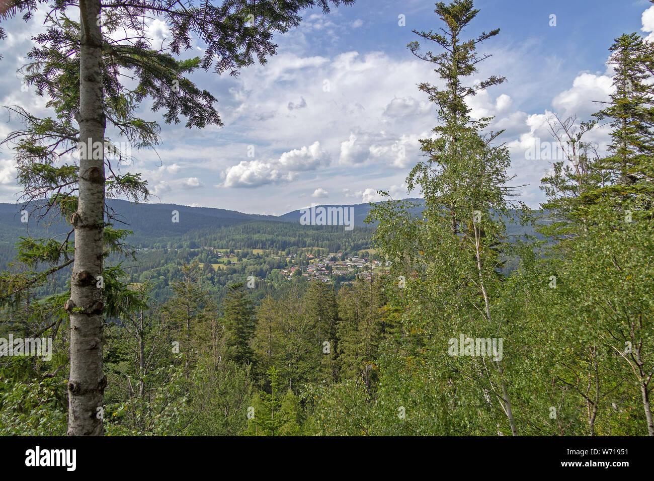 forest near Bayerisch Eisenstein, Bavarian Forest, Bavaria, Germany ...