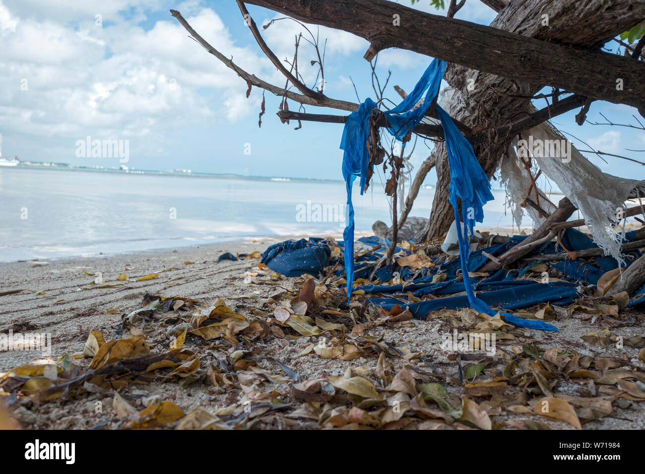 Caribbean plastic pollution hi-res stock photography and images - Alamy